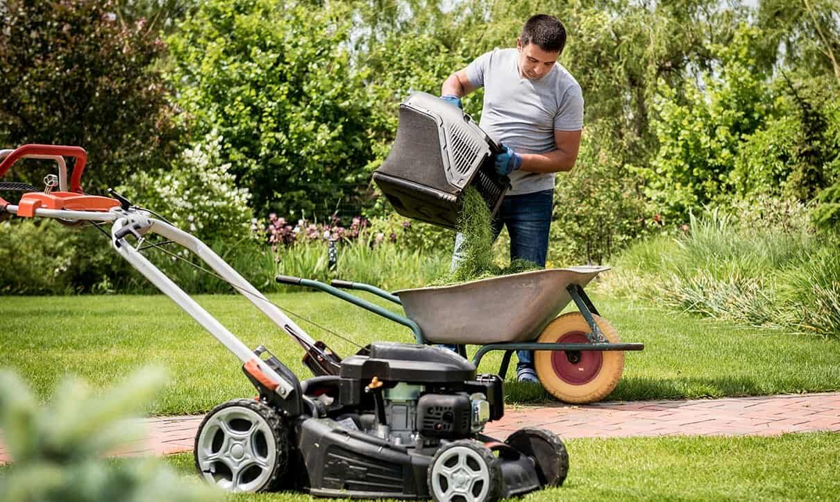 Garden Cleaning & Maintenance Service in Sydney - Dirt2Neat